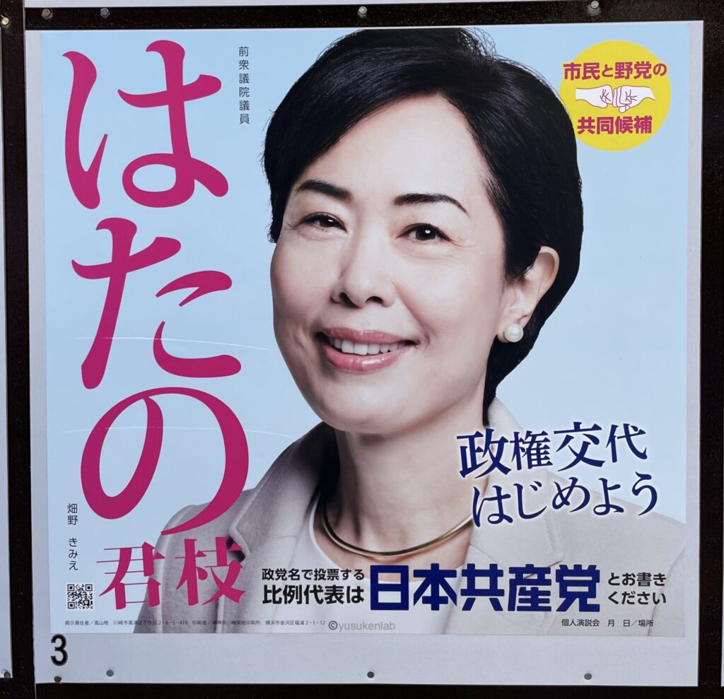衆議院選挙 神奈川10区（2021年）選挙ポスター | ユスケンラボ